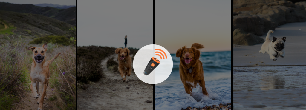 DogDazer.com - The Best Ultrasonic Anti Barking Deterrent